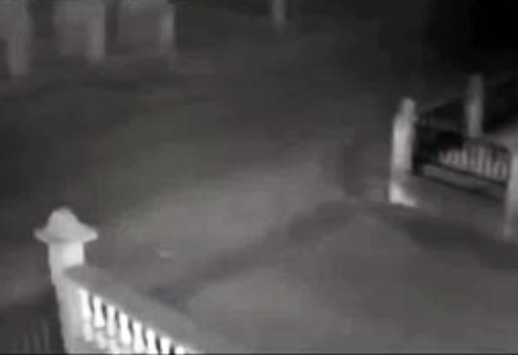 Info Bijeljina - Objavljen snimak zemljotresa koji je pogodio BiH (VIDEO) Info Bijeljina - Objavljen snimak zemljotresa koji je pogodio BiH (VIDEO)
